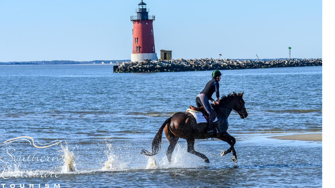 Zoom Backgrounds | Visit Southern Delaware